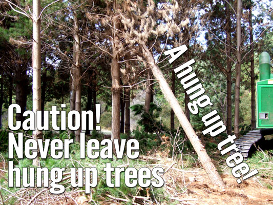 Forest Operations > Conduct Feller Buncher Operations > Dealing With ...