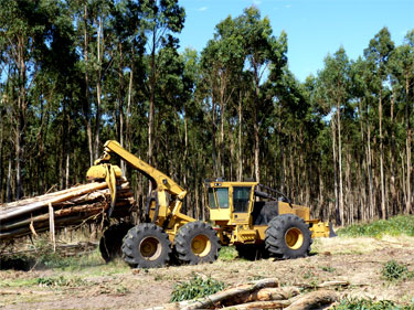 Forest Operations > Conduct Skidder Operations > Introduction