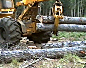 Forest Operations > Conduct Skidder Operations > Skidder At Work